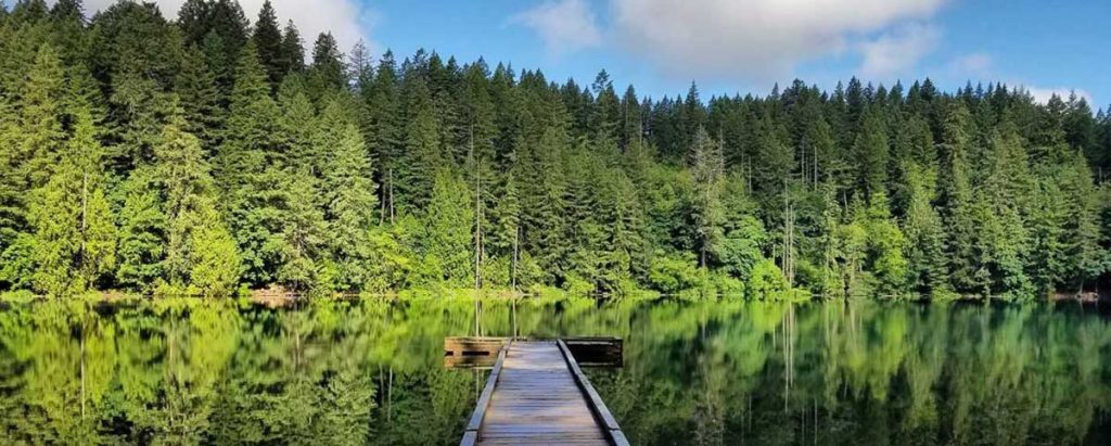 Discover Walker Field: A New Home Community in Battle Ground, WA ...